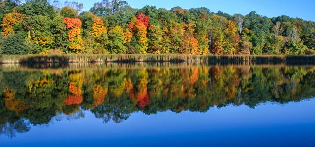 Home | Hamilton Wealth Management